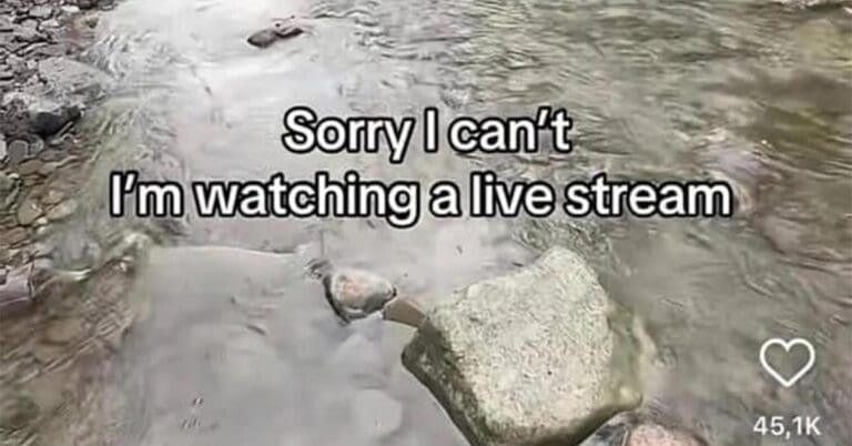 35 Pun Memes You’ll Groan and Share Anyway