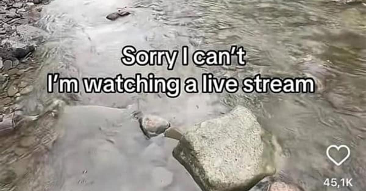 The Morning Commute - 25 Daily Funny Pictures and All the Memes You Missed