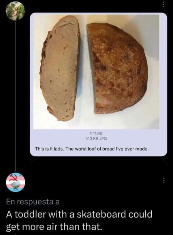 50 Reply Memes That Win the Comments