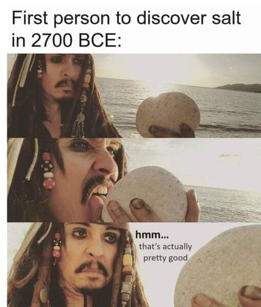 30 Salt Memes For Lightly Seasoned Laughs