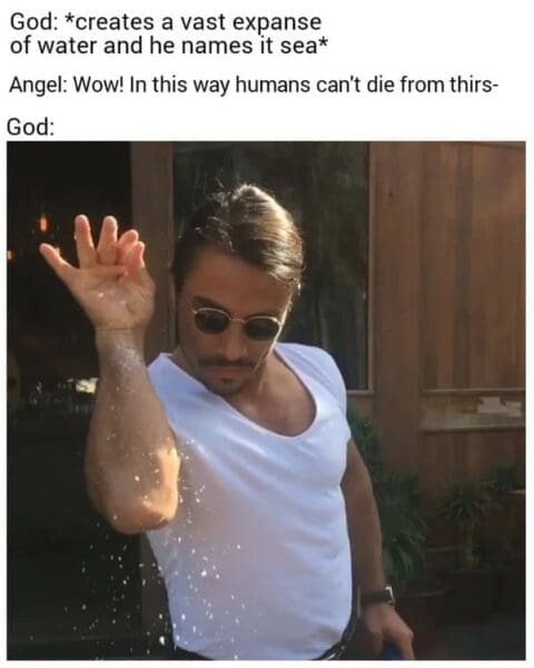 30 Salt Memes For Lightly Seasoned Laughs