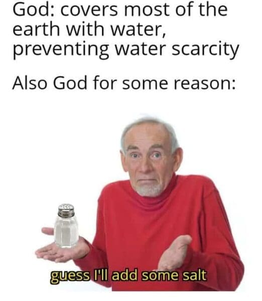 30 Salt Memes For Lightly Seasoned Laughs
