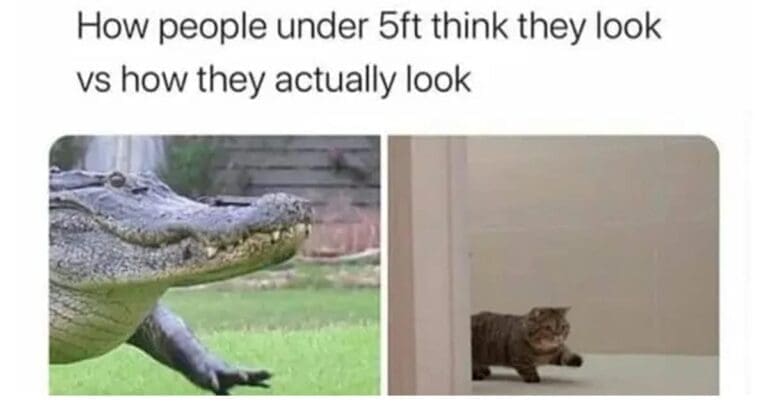 25 Funny Height Memes For The Talls And Smalls
