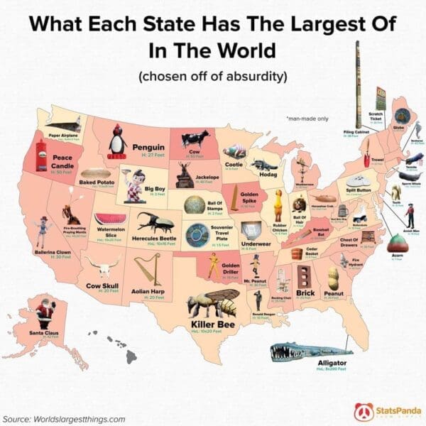 30 Interesting Graphs That Make Facts Feel Fun