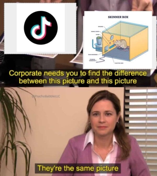 40 Psychology Memes For Brainy Little Laughs