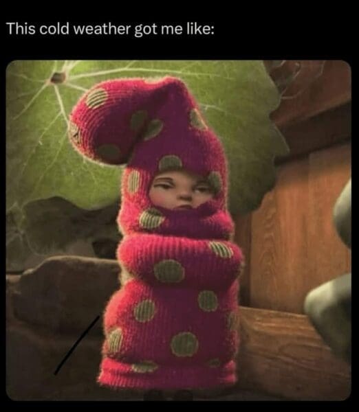 30 Cold Weather Memes for Everyone Already Over Winter