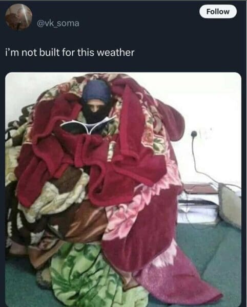 30 Cold Weather Memes for Everyone Already Over Winter