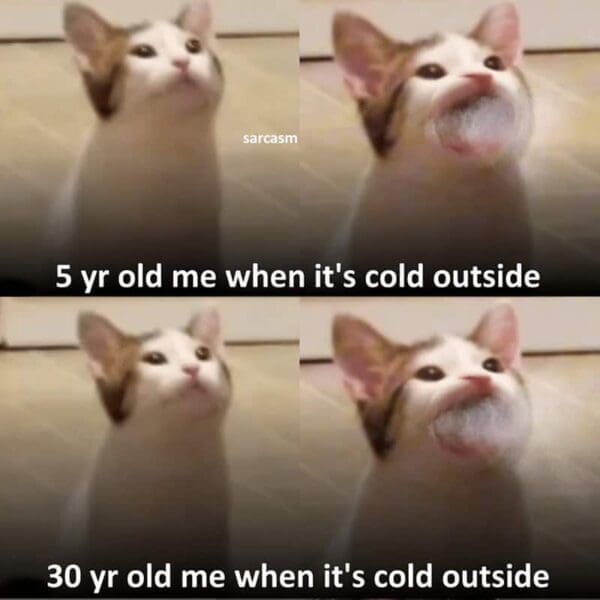 30 Cold Weather Memes for Everyone Already Over Winter
