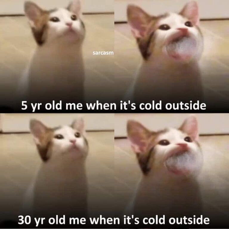 30 Cold Weather Memes for Everyone Already Over Winter