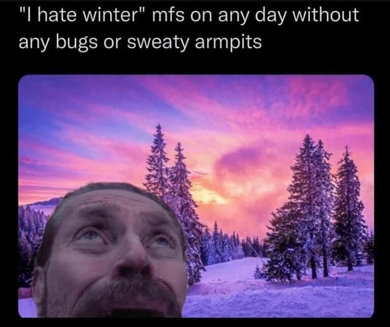 30 Cold Weather Memes for Everyone Already Over Winter