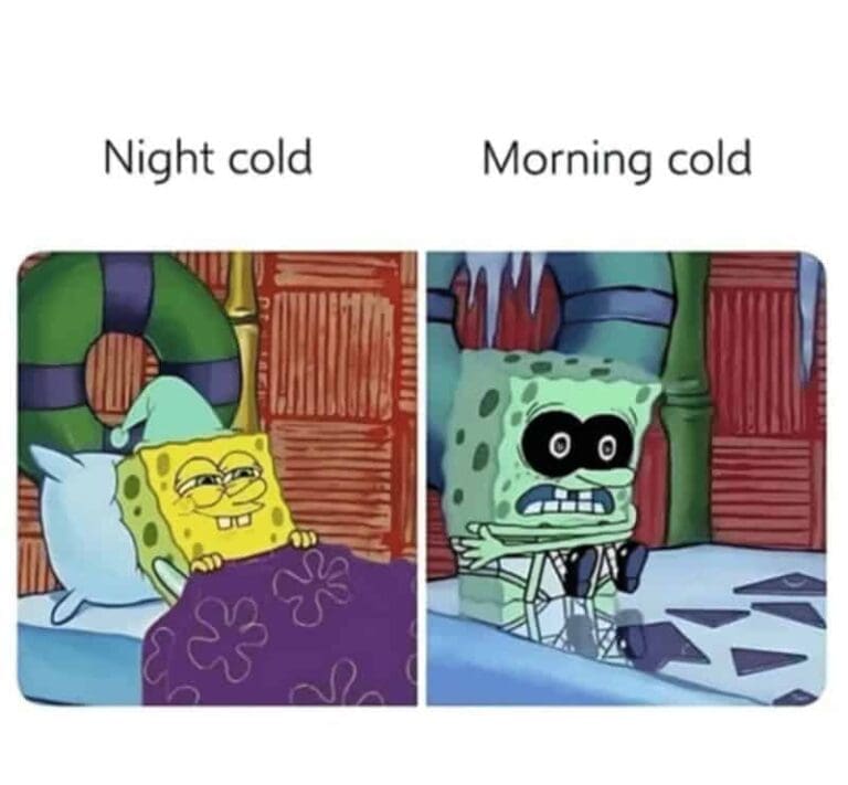 30 Cold Weather Memes for Everyone Already Over Winter