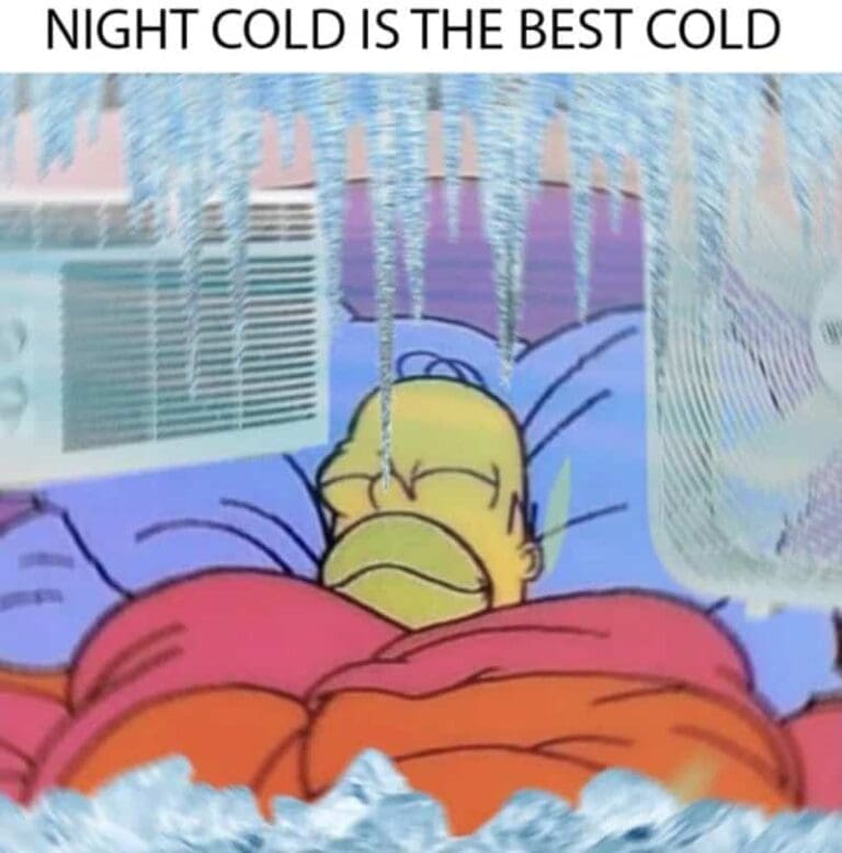 30 Cold Weather Memes for Everyone Already Over Winter