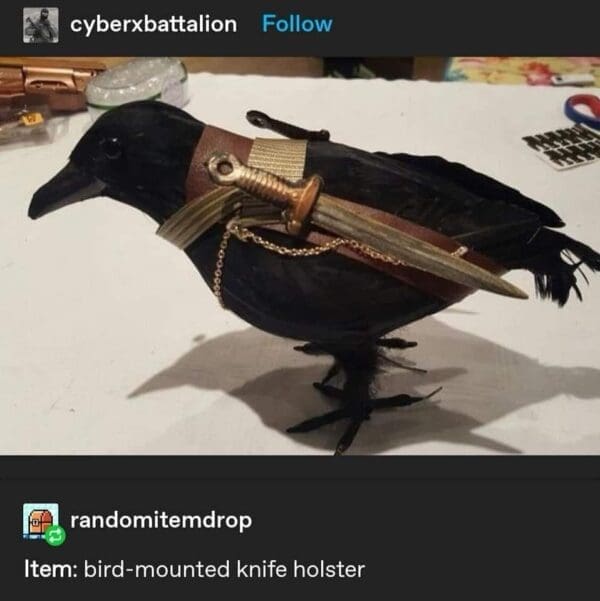 34 Funny Bird Memes To Perch In Your Camera Roll