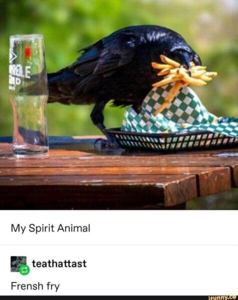 34 Funny Bird Memes To Perch In Your Camera Roll