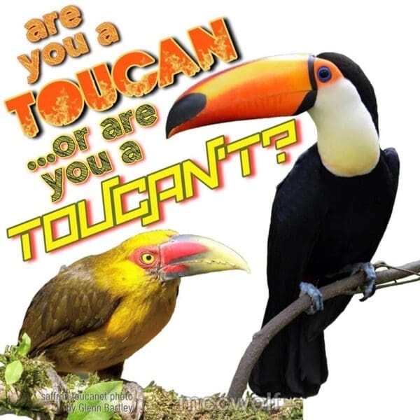 34 Funny Bird Memes To Perch In Your Camera Roll