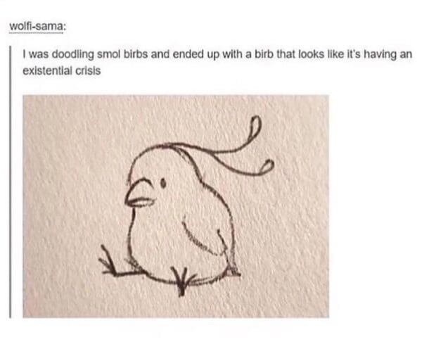 34 Funny Bird Memes To Perch In Your Camera Roll