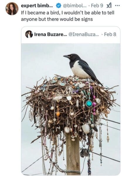 34 Funny Bird Memes To Perch In Your Camera Roll