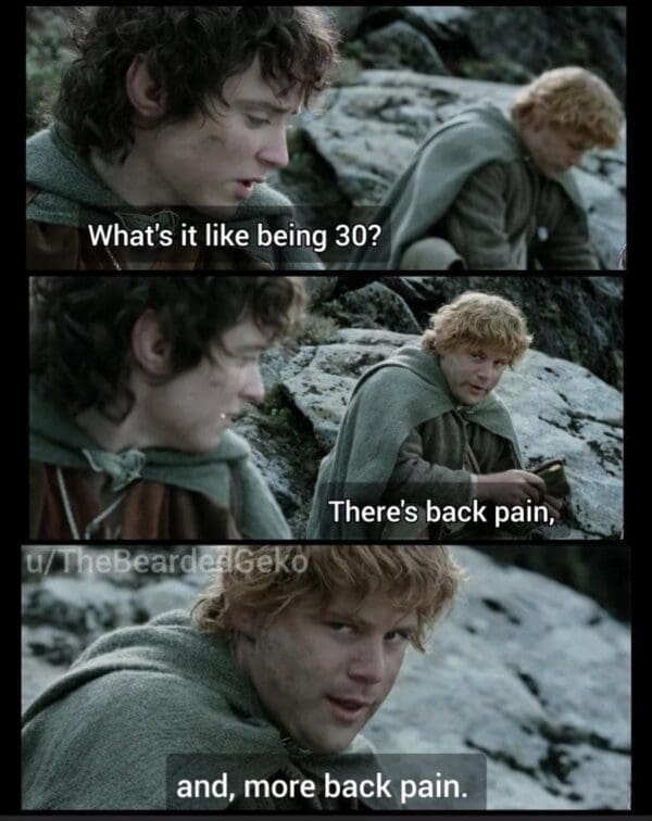 30 LoTR Memes That Carry Your Scroll Like Samwise