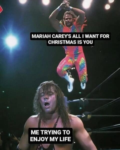 25 Mariah Carey Memes Ushering In Defrost Season