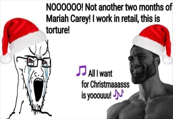 25 Mariah Carey Memes Ushering In Defrost Season