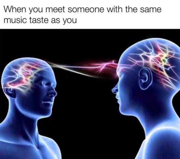 40 Music Memes That Hit Every Playlist