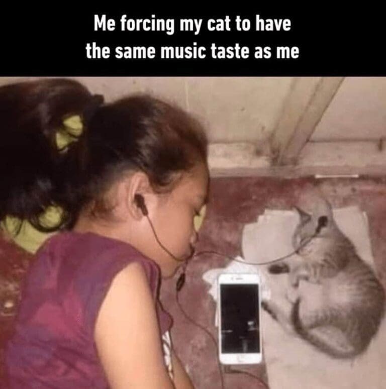 40 Music Memes That Hit Every Playlist