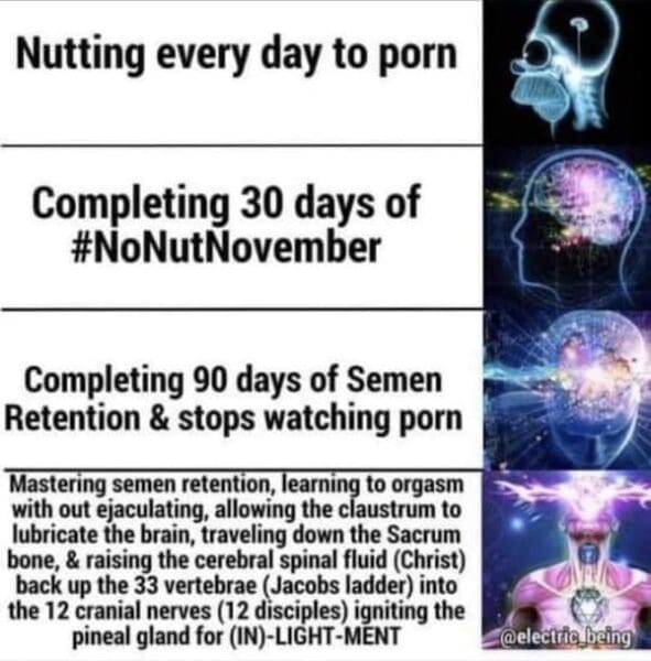 26 No Nut November Memes for People Trying (and Failing) to Hold Strong