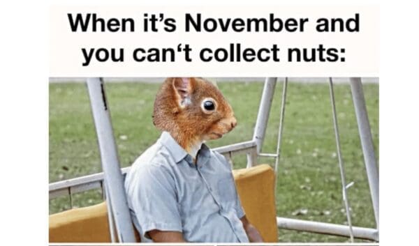26 No Nut November Memes for People Trying (and Failing) to Hold Strong