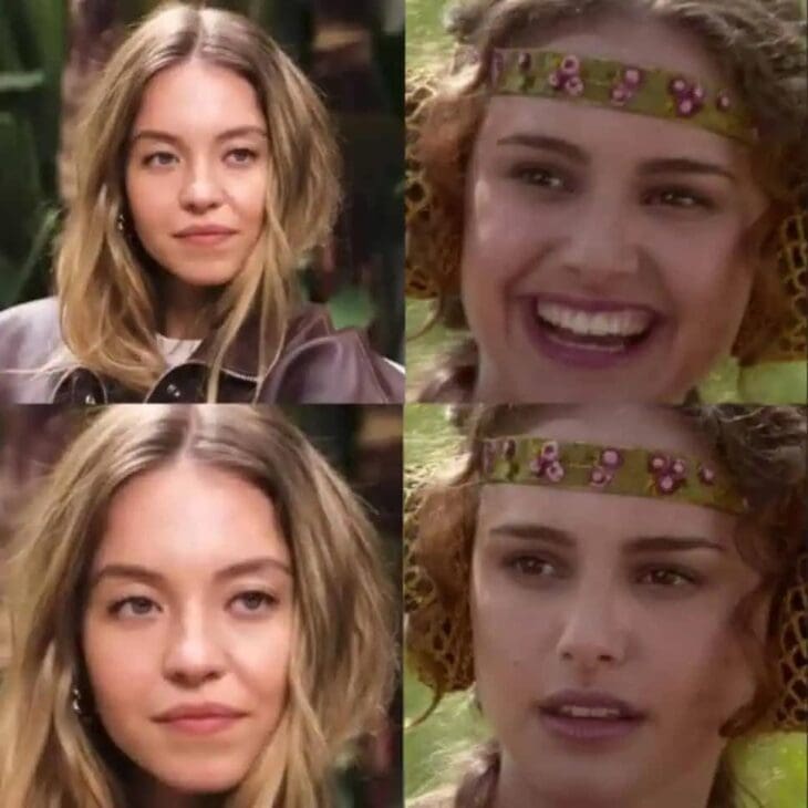 GQ Moment Goes Viral: 27 Sydney Sweeney Blank Stare Memes