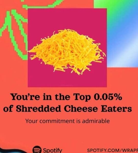 48 Funny Cheese Memes For Dairy-Obsessed Scrolls