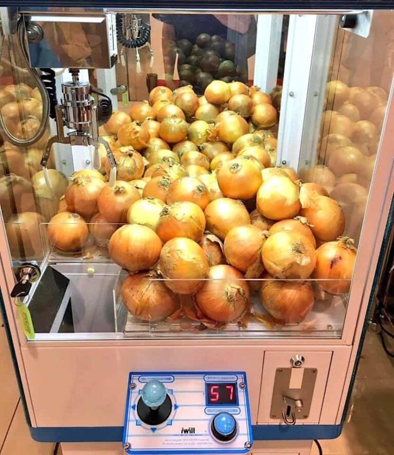 40 Funny Random Photos That Make Reality Feel Glitched