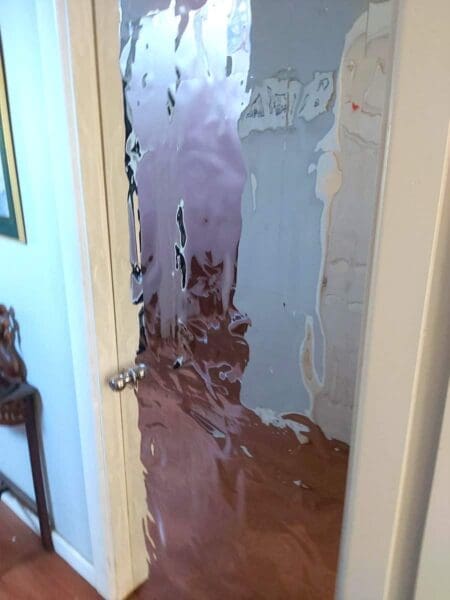 40 Funny Random Photos That Make Reality Feel Glitched