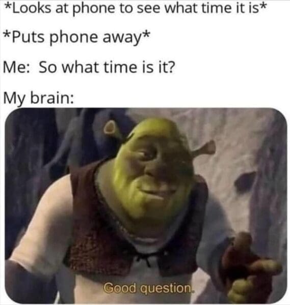 36 Memory Memes For People With Goldfish Brains