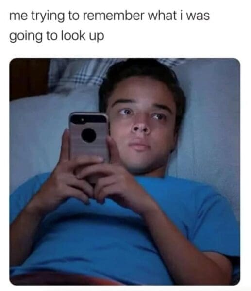 36 Memory Memes For People With Goldfish Brains
