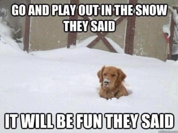 34 2026 Snowmageddon Memes Because North America Got Buried