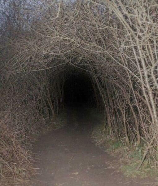 40 Creepy Liminal Spaces That Make My Skin Buzz