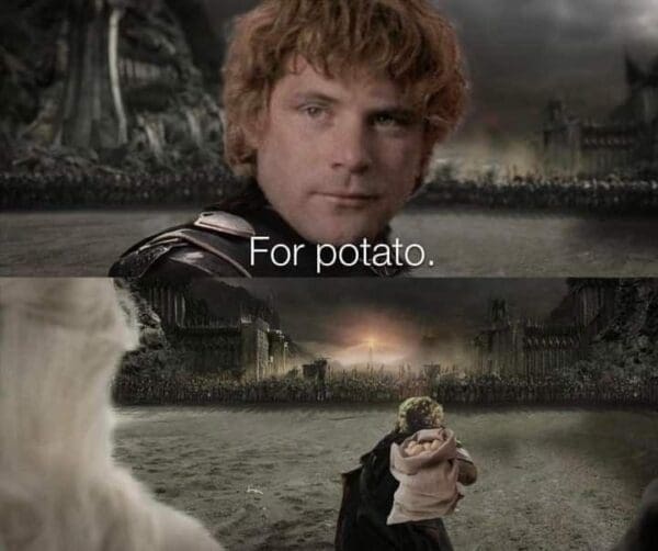 30 Lord Of The Rings Memes That Hit Like Second Breakfast