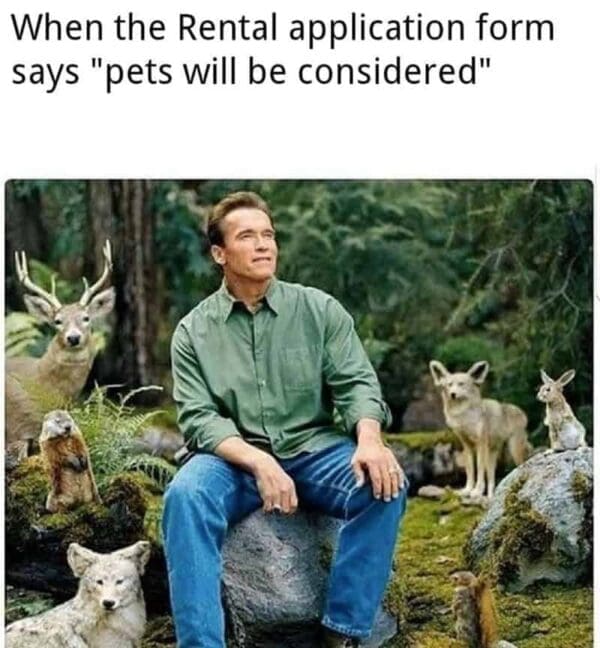 25 Renter Memes For Anyone Stuck In The Lease Loop