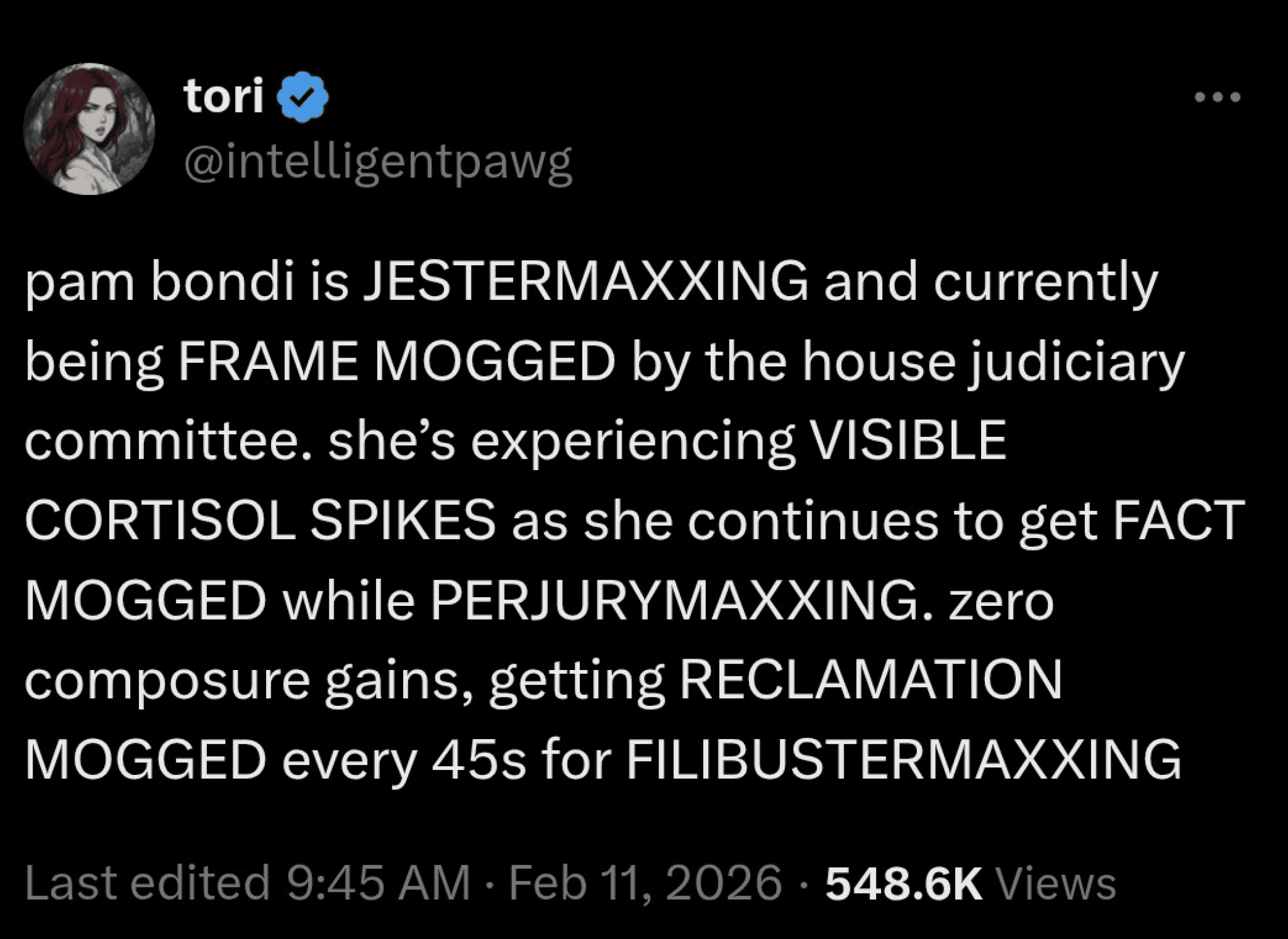 Pam Bondi Hearing Memes And The Internet’s Courtroom TV