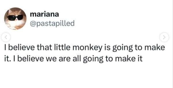 19 Punch the Monkey Memes That Hijacked February
