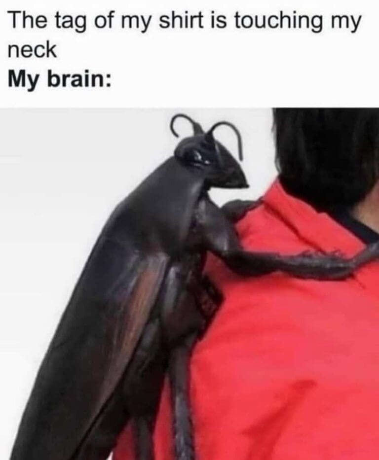 40 Funny Animal Memes That Carry The Internet