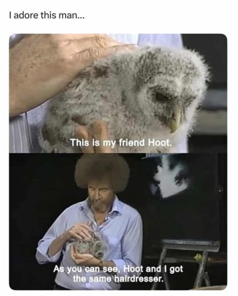 40 Funny Animal Memes That Carry The Internet