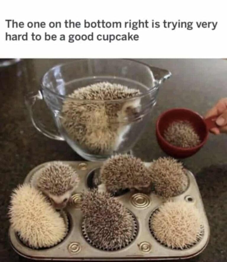40 Funny Animal Memes That Carry The Internet