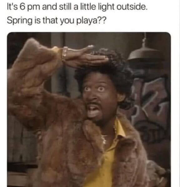 29 Spring Memes For Anyone Suffering Through This Last Frost