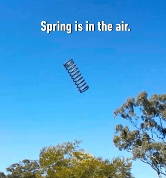 29 Spring Memes For Anyone Suffering Through This Last Frost