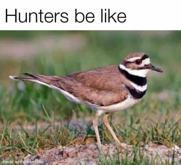 30 Bird Memes For People Who Know Birds Aren't Real