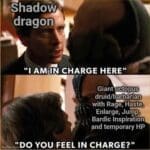 25 D&D Memes That Prove Your Party Is A Threat To Any Plot