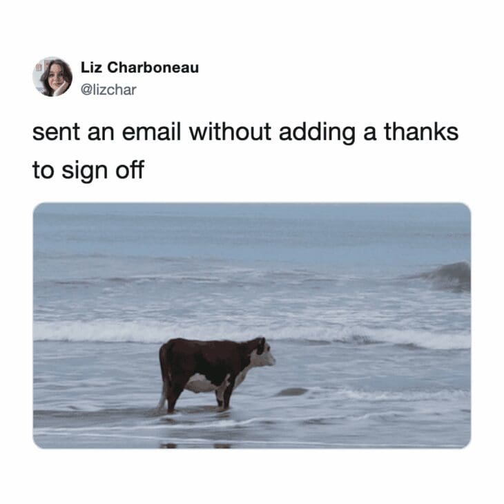 30 Email Memes For Anyone Staring At Their Inbox In Silence