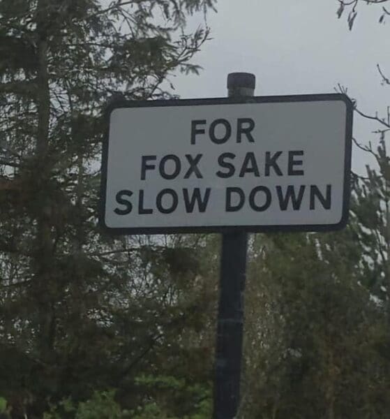 63 Funny Signs That Made Me Stop Walking To Read Twice