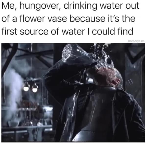 30 Hungover Meme Posts For The Morning After Survivors
